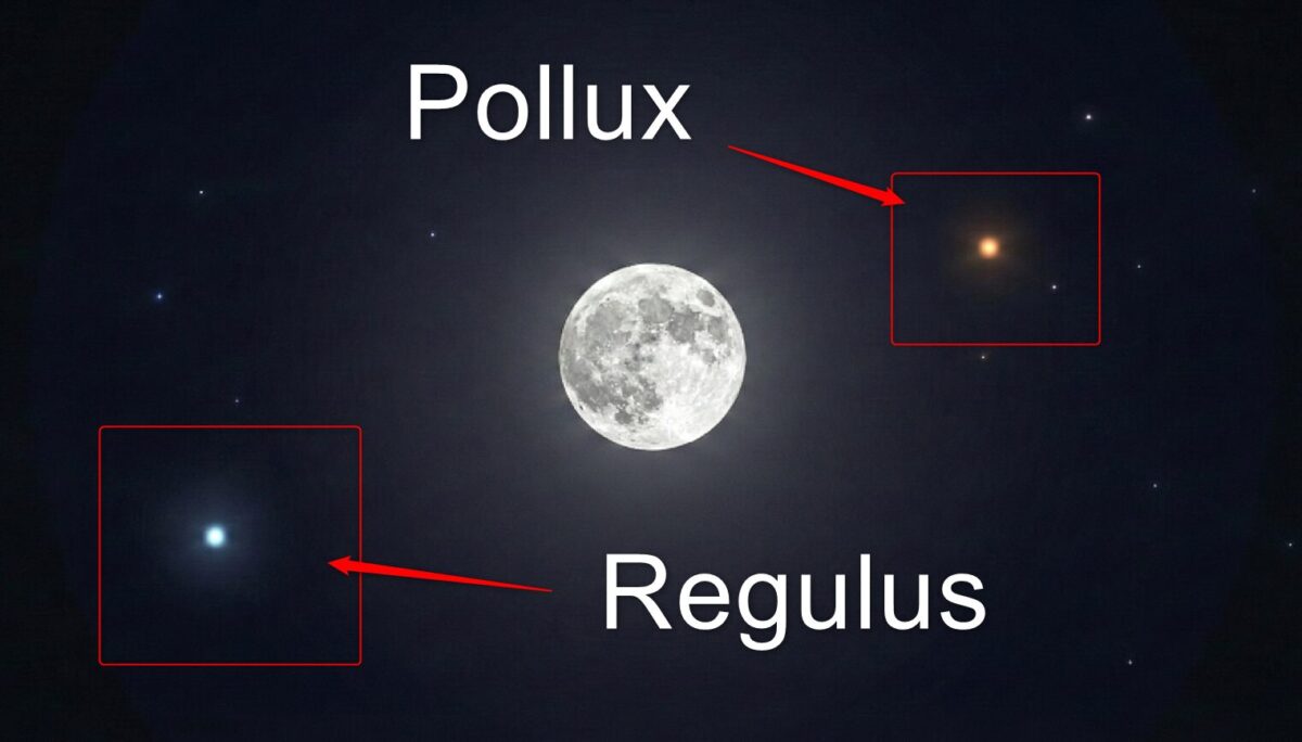 Regulus（レグルス） | SPACEDOOR - 宇宙への扉を開く！